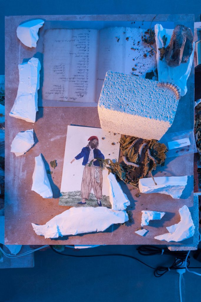 Candice Lin at Portikus – Art Viewer