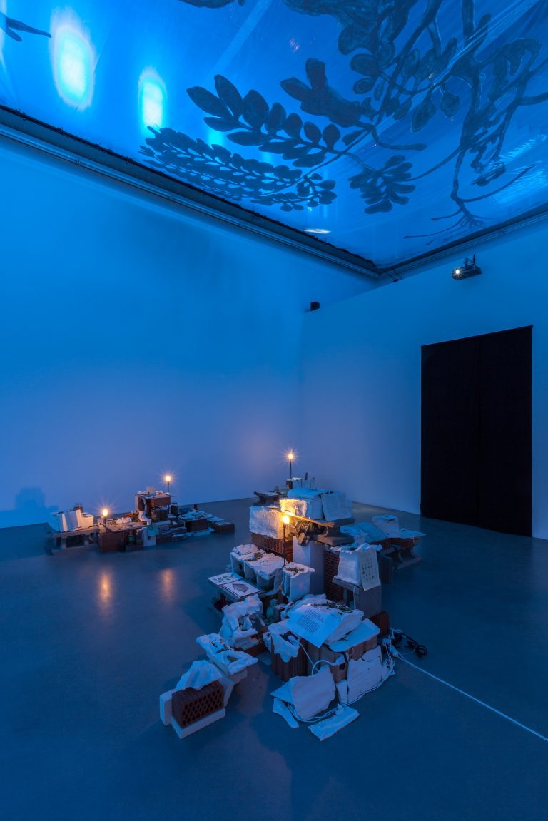 Candice Lin at Portikus – Art Viewer