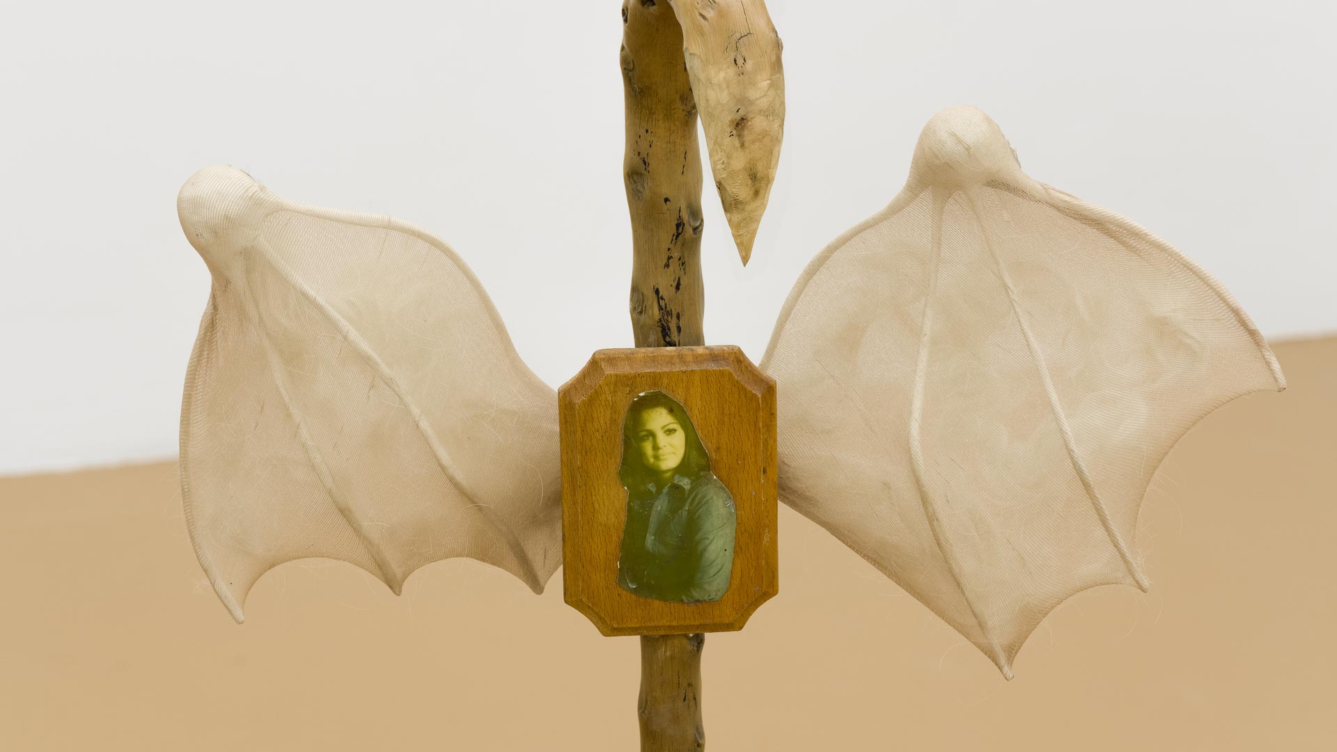 Gnaw the bone that falls to thy lot at Kimberly-Klark – Art Viewer