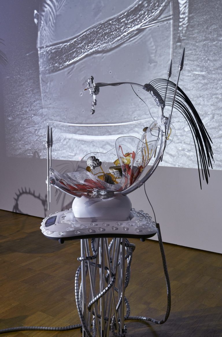 Katja Novitskova at Kumu Art Museum – Art Viewer