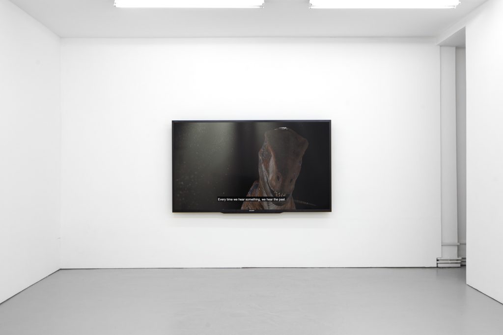 Thomas van Linge at J Hammond Projects – Art Viewer