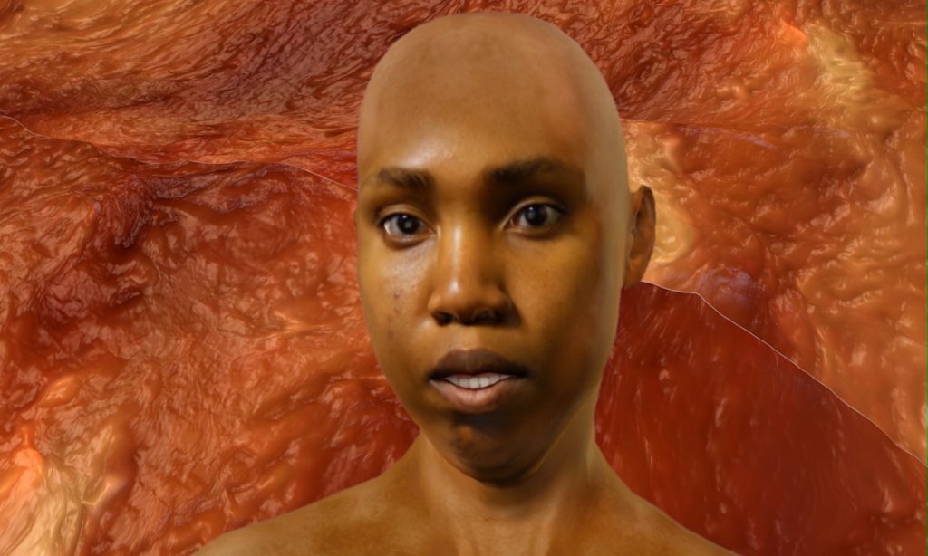Sondra Perry at Serpentine Galleries – Art Viewer