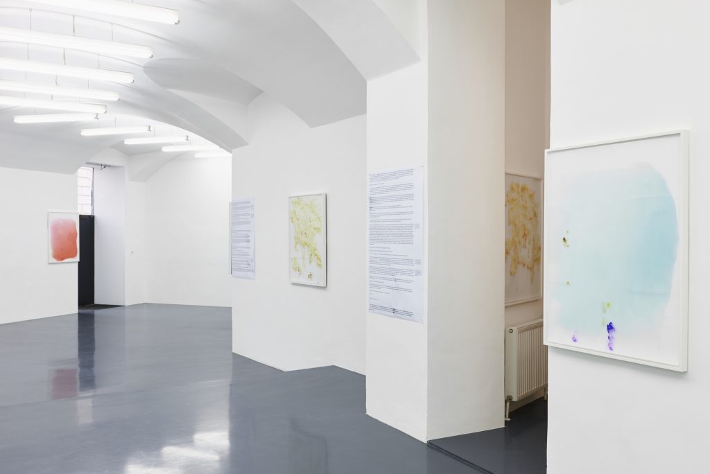 Lisa Holzer at Galerie Emanuel Layr – Art Viewer