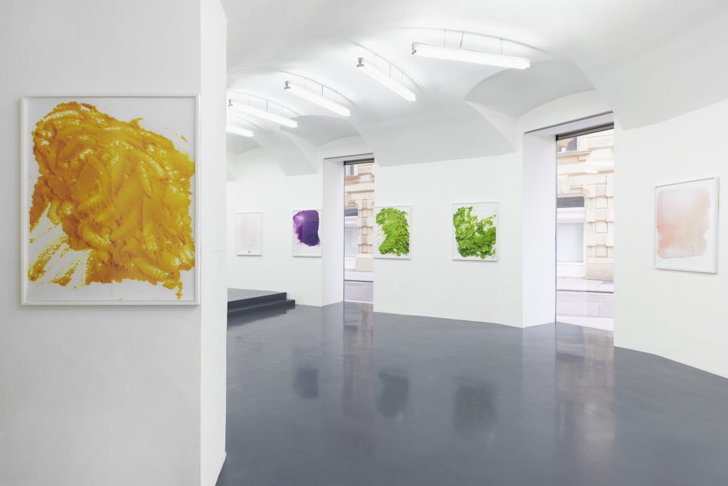 Lisa Holzer at Galerie Emanuel Layr – Art Viewer