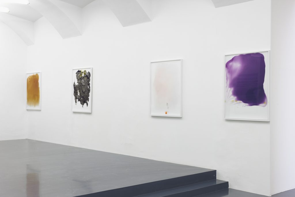 Lisa Holzer at Galerie Emanuel Layr – Art Viewer