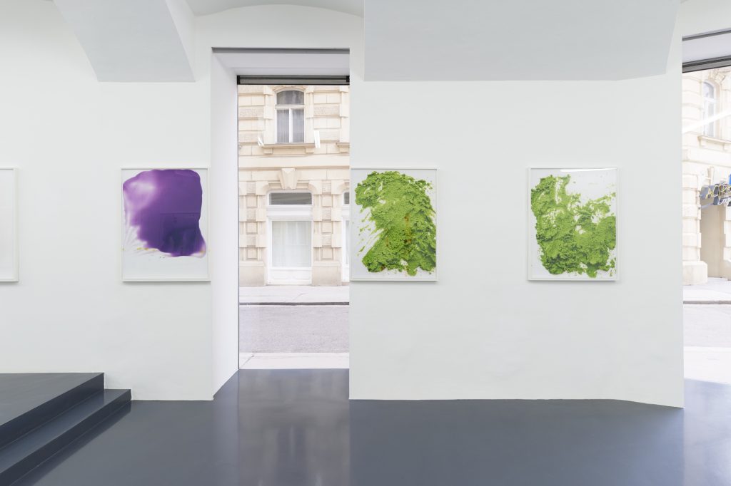 Lisa Holzer at Galerie Emanuel Layr – Art Viewer