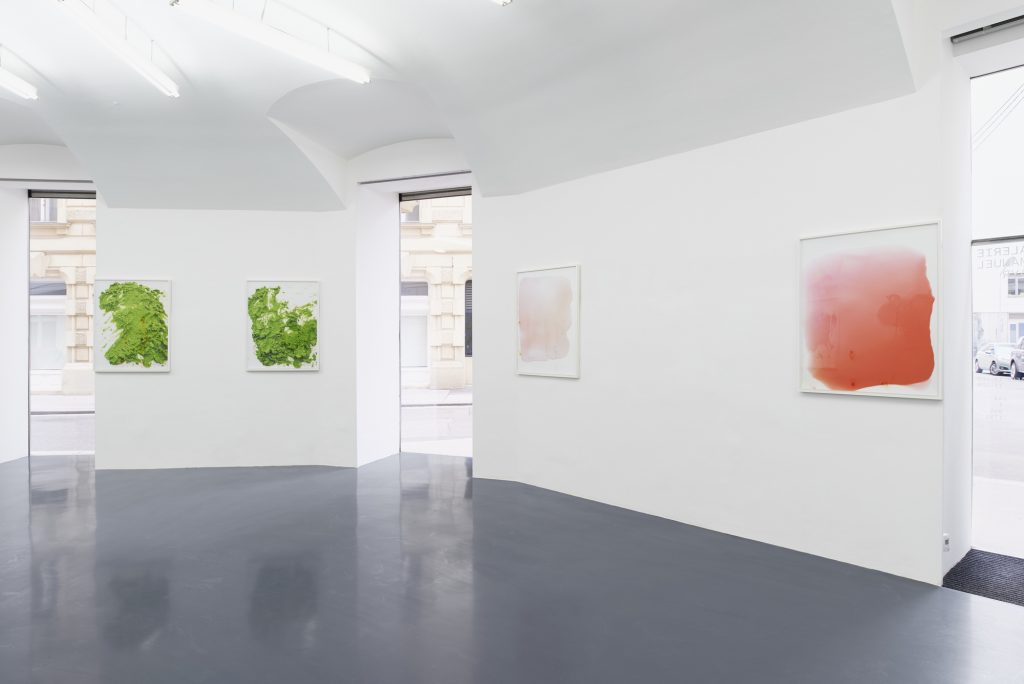 Lisa Holzer at Galerie Emanuel Layr – Art Viewer
