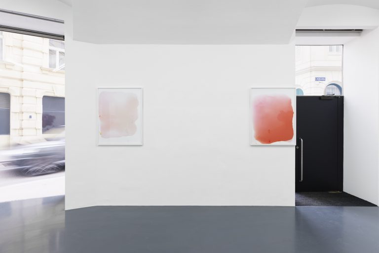 Lisa Holzer at Galerie Emanuel Layr – Art Viewer