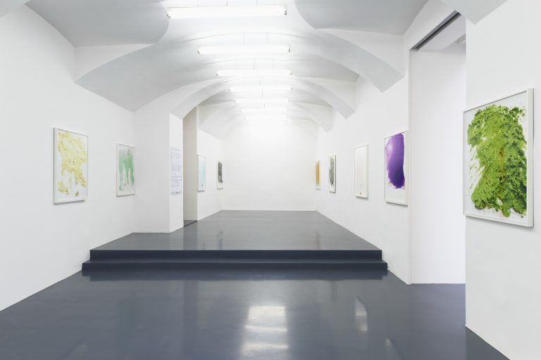 Lisa Holzer at Galerie Emanuel Layr – Art Viewer