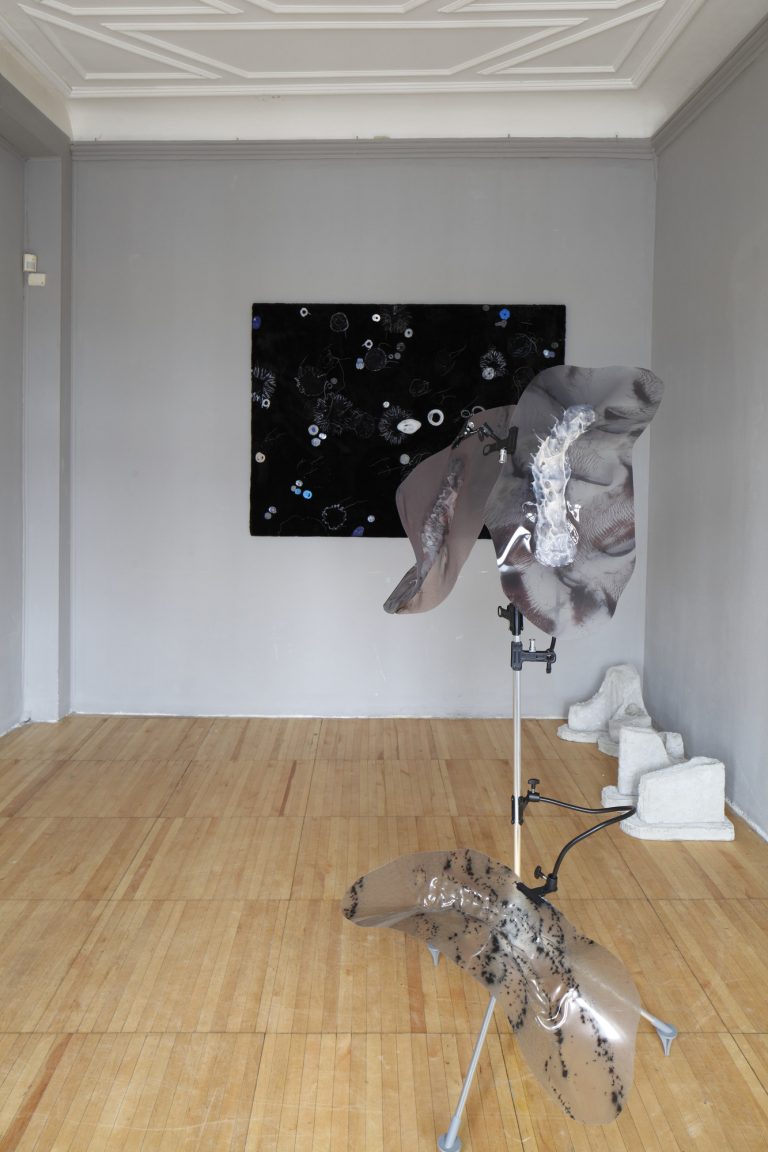 Orient at kim? – Art Viewer