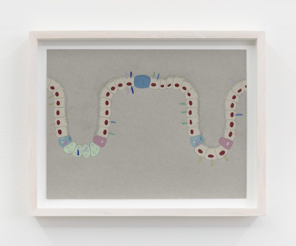 Rebecca Friedman at Kimberly-Klark – Art Viewer