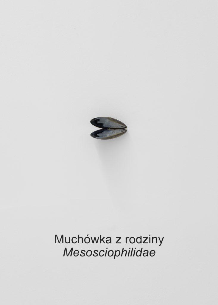 Adriana Ramić & Micah Schippa at Hotel Art PAVILION – Art Viewer