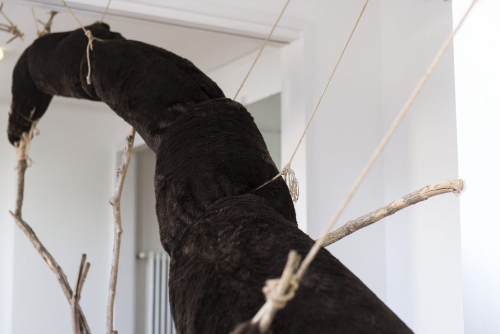 Martin Penev at Swimming Pool – Art Viewer