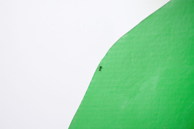 Paul Barsch & Tilman Hornig at Gluben Mench – Art Viewer