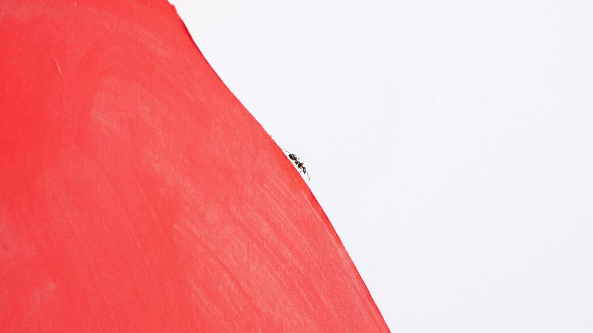 Paul Barsch & Tilman Hornig at Gluben Mench – Art Viewer