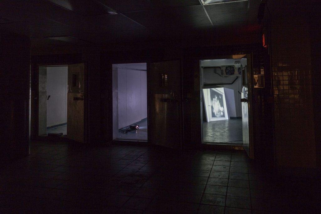 Re: Art Show at Pfizer Pharmaceutical Factory – Art Viewer