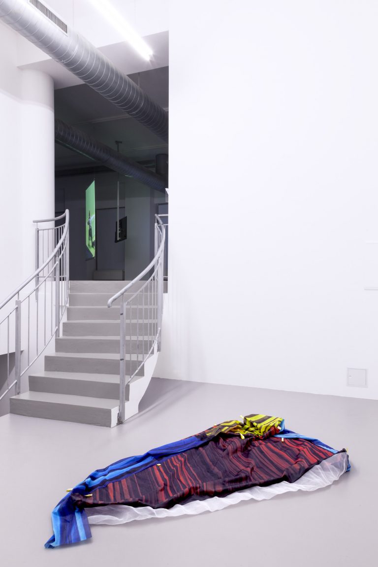 Elizabeth Orr at PYLON-Lab – Art Viewer