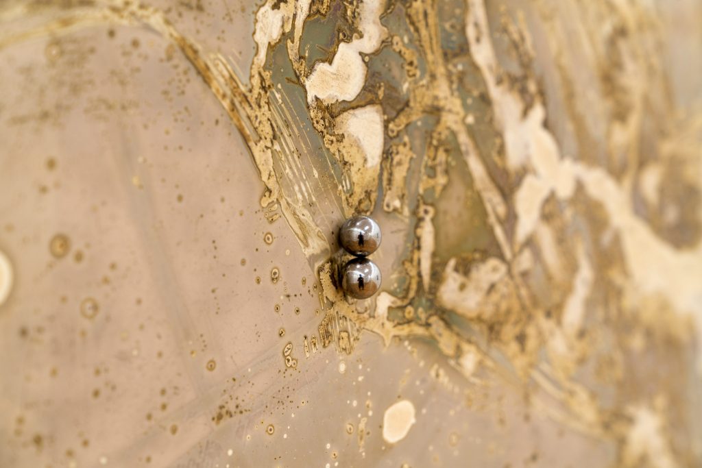 Laurie Kang and Katie Lyle at Projet Pangée – Art Viewer