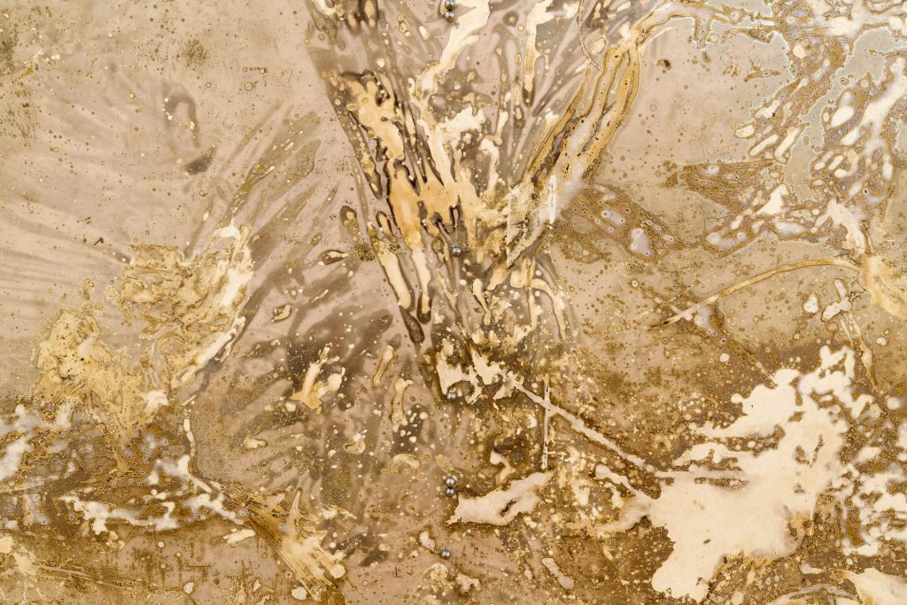 Laurie Kang and Katie Lyle at Projet Pangée – Art Viewer