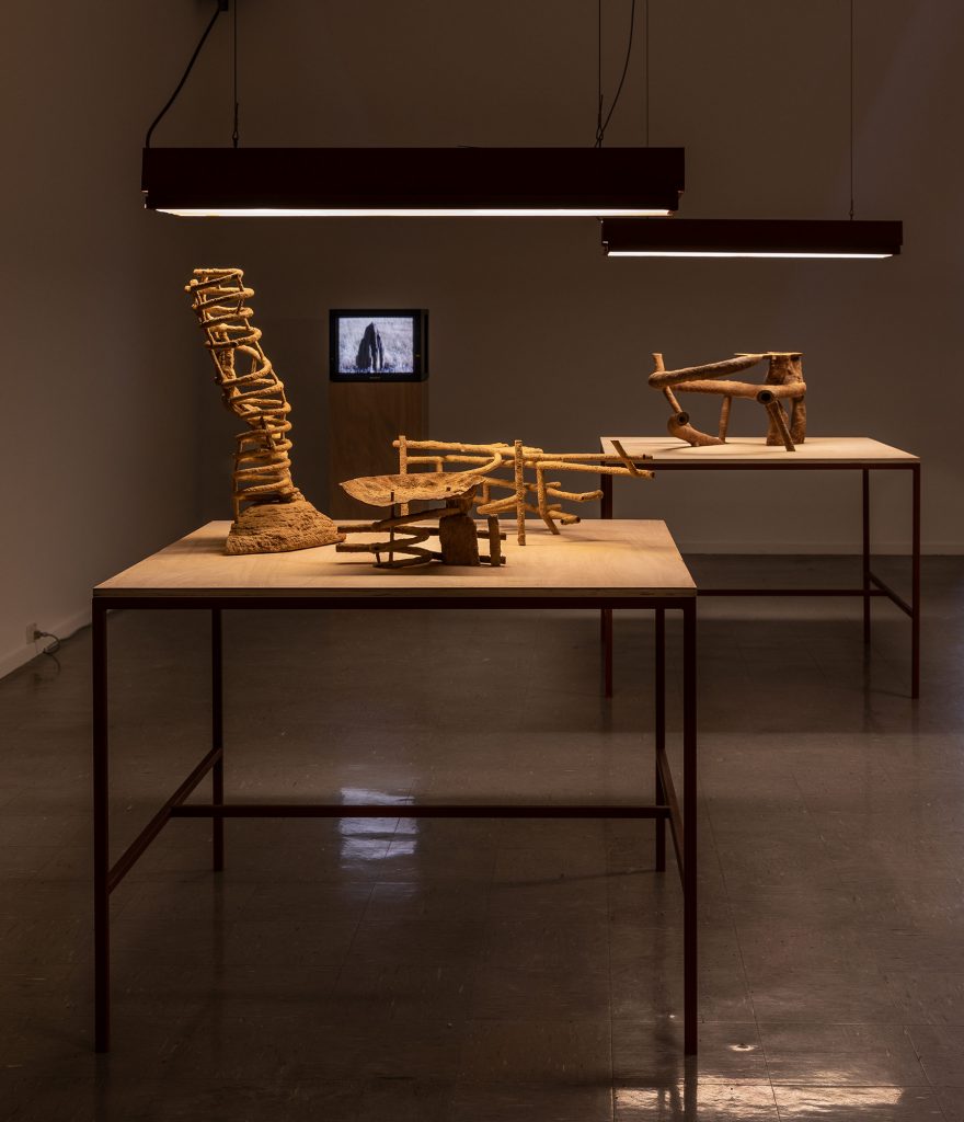 Nicholas Mangan at Sutton Gallery – Art Viewer