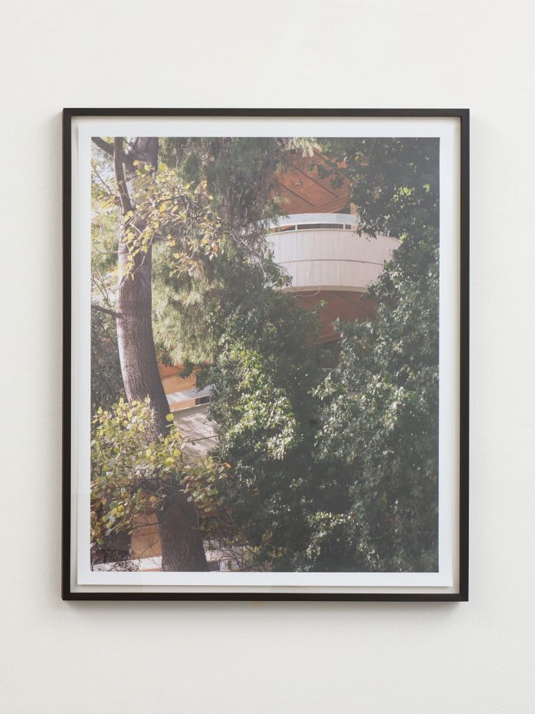 Eleanor Wright at Petra Rinck Galerie – Art Viewer