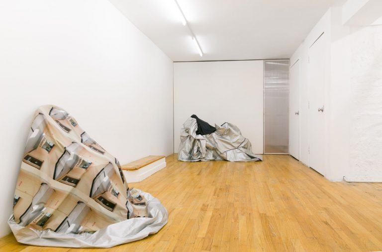 Laura Hunt at 321 Gallery – Art Viewer