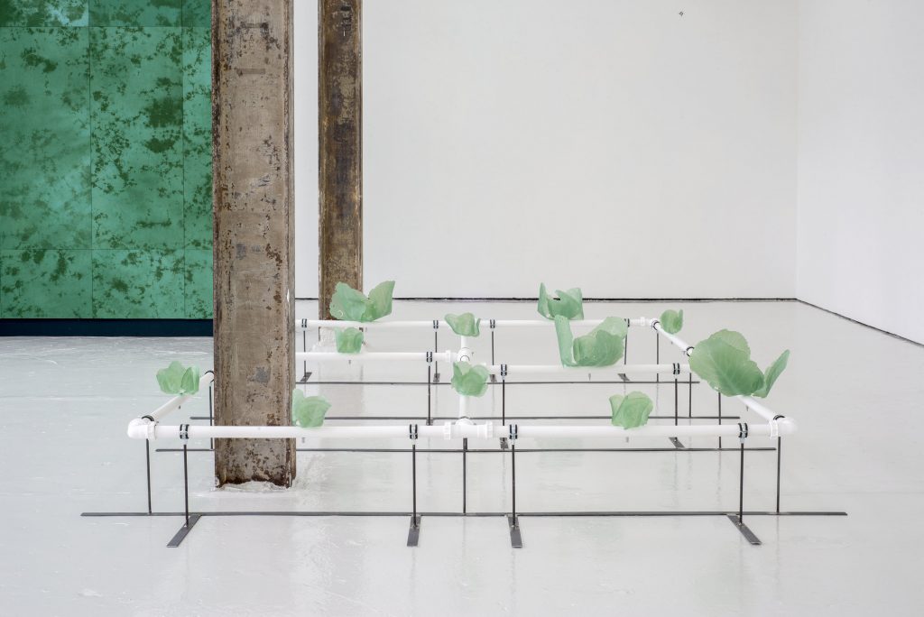 Rachel Adams at David Dale Gallery – Art Viewer