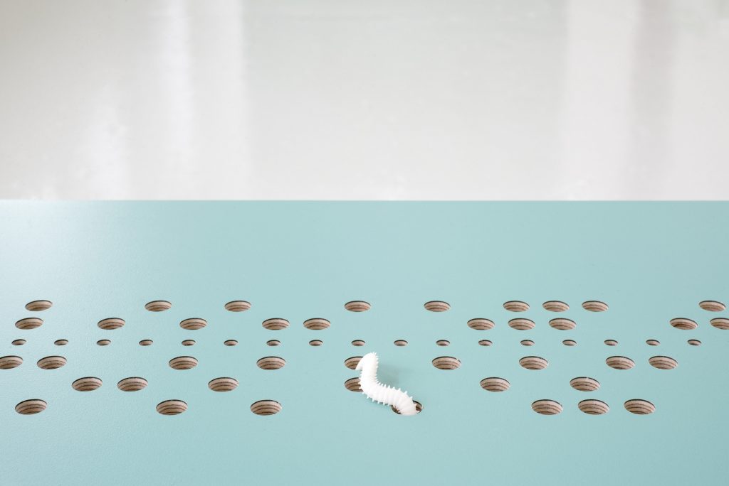 Rachel Adams at David Dale Gallery – Art Viewer