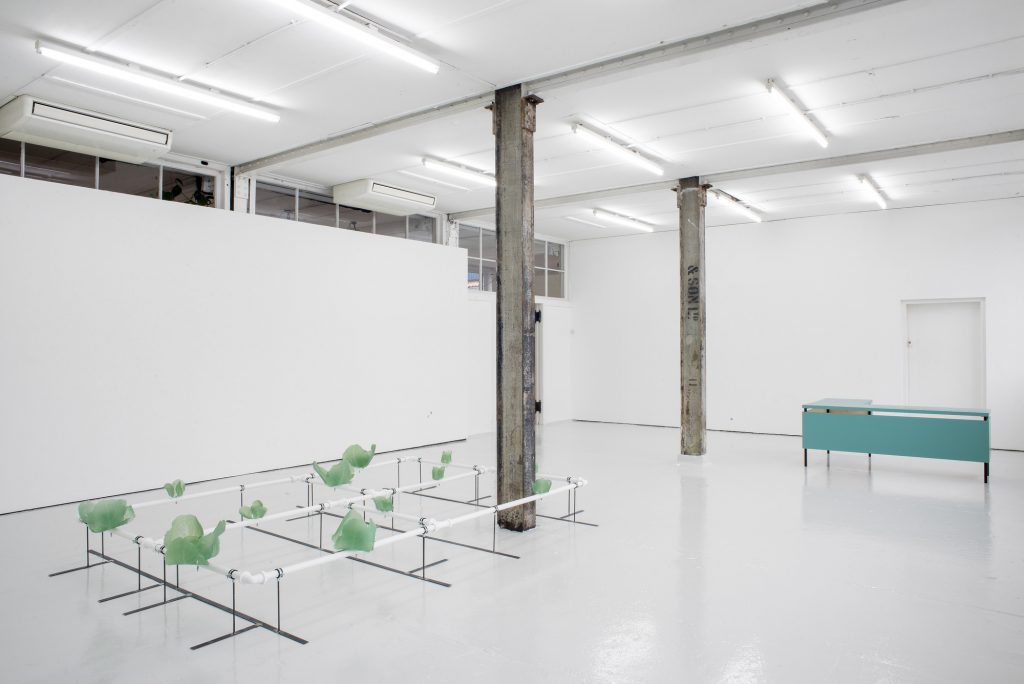 Rachel Adams at David Dale Gallery – Art Viewer