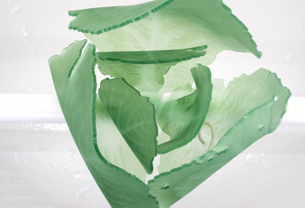 Rachel Adams at David Dale Gallery – Art Viewer