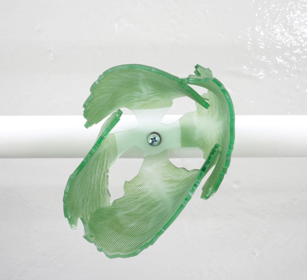 Rachel Adams at David Dale Gallery – Art Viewer