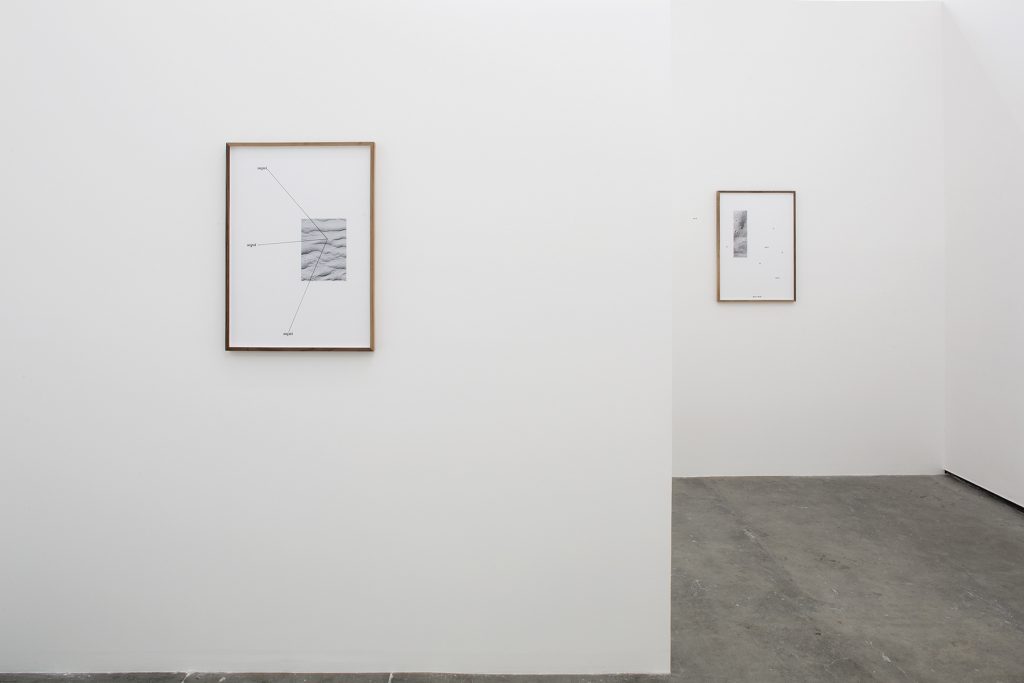 Adrien Missika at Proyectos Monclova – Art Viewer