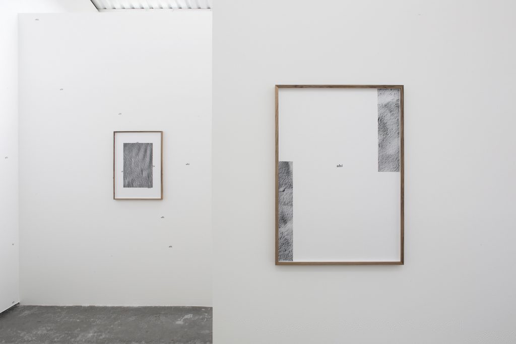 Adrien Missika at Proyectos Monclova – Art Viewer