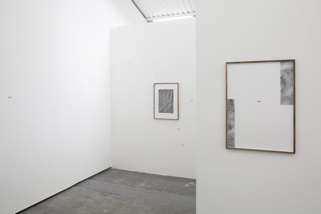 Adrien Missika at Proyectos Monclova – Art Viewer