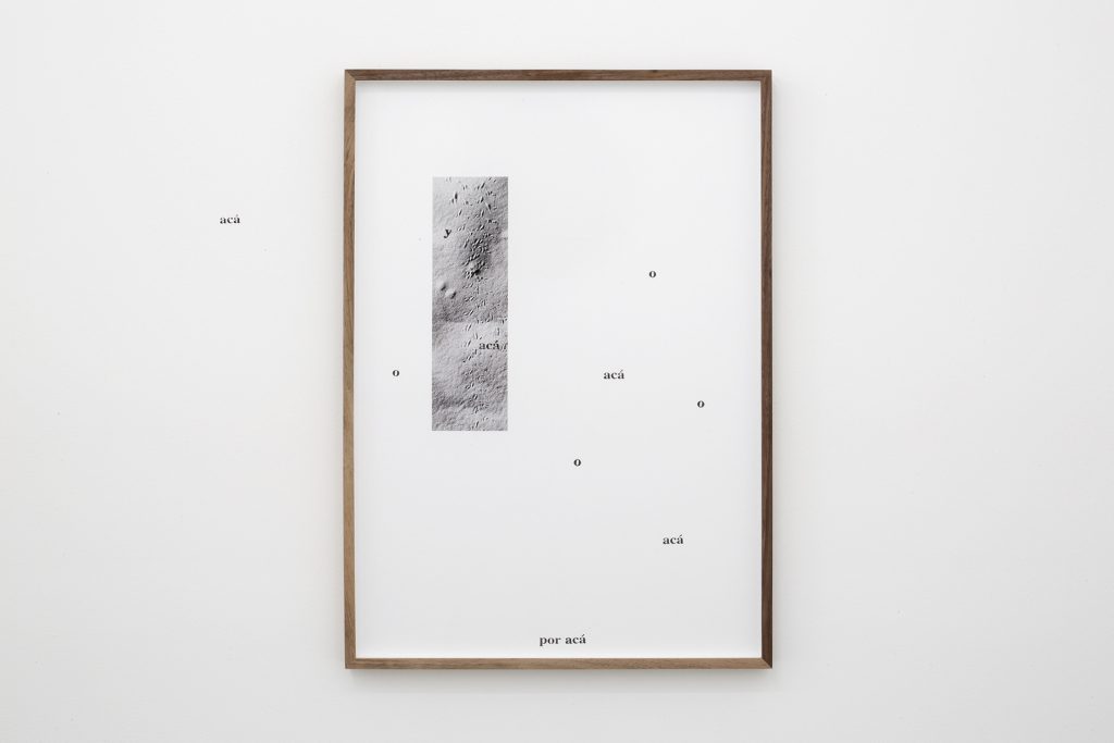 Adrien Missika at Proyectos Monclova – Art Viewer