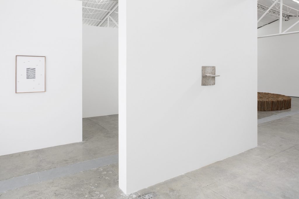 Adrien Missika at Proyectos Monclova – Art Viewer