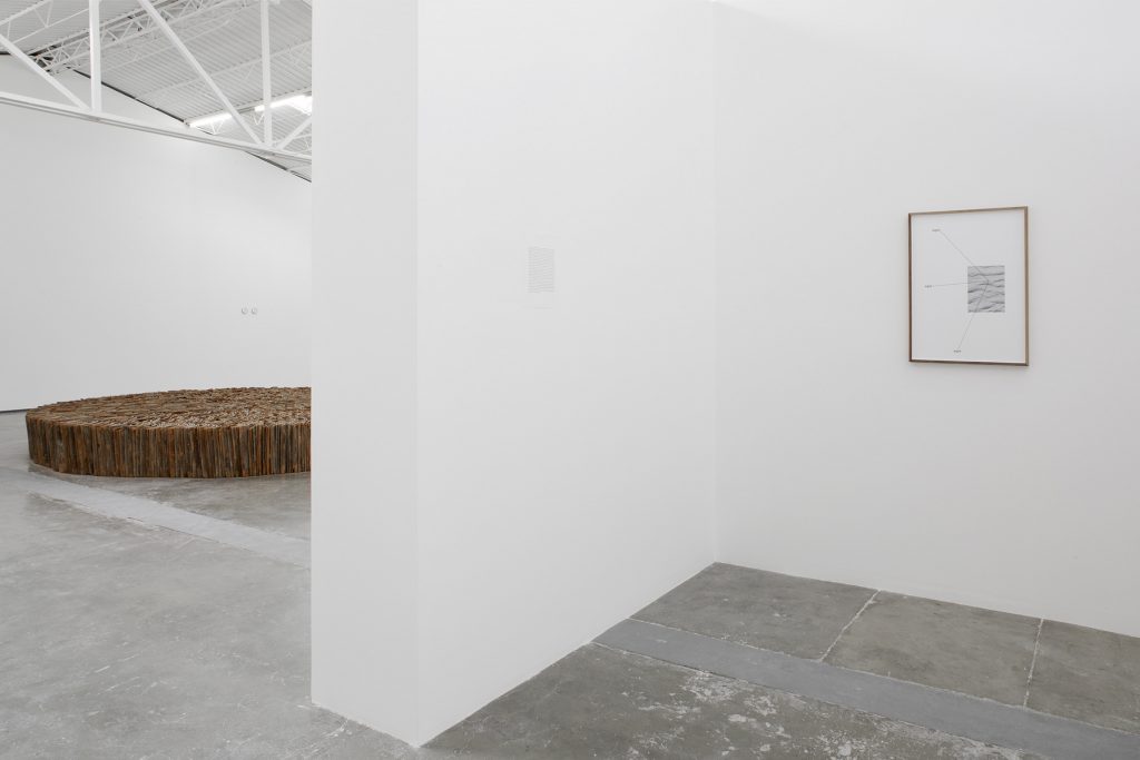Adrien Missika at Proyectos Monclova – Art Viewer