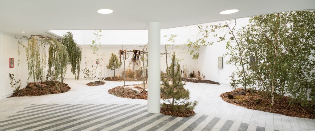 Rasmus Myrup at Tranen – Art Viewer