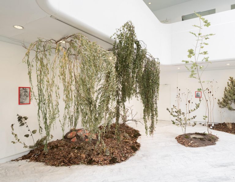 Rasmus Myrup at Tranen – Art Viewer