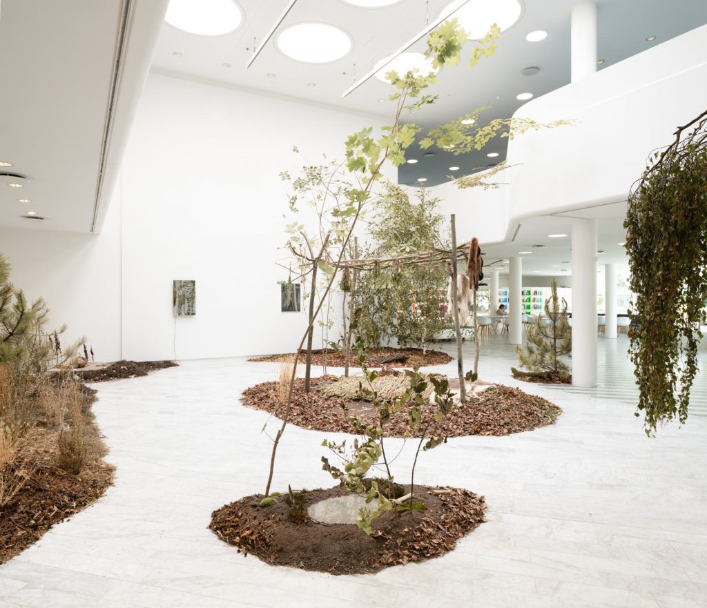 Rasmus Myrup at Tranen – Art Viewer