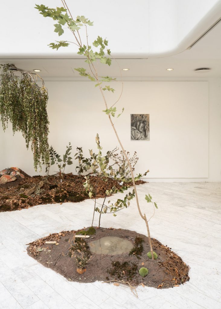 Rasmus Myrup at Tranen – Art Viewer