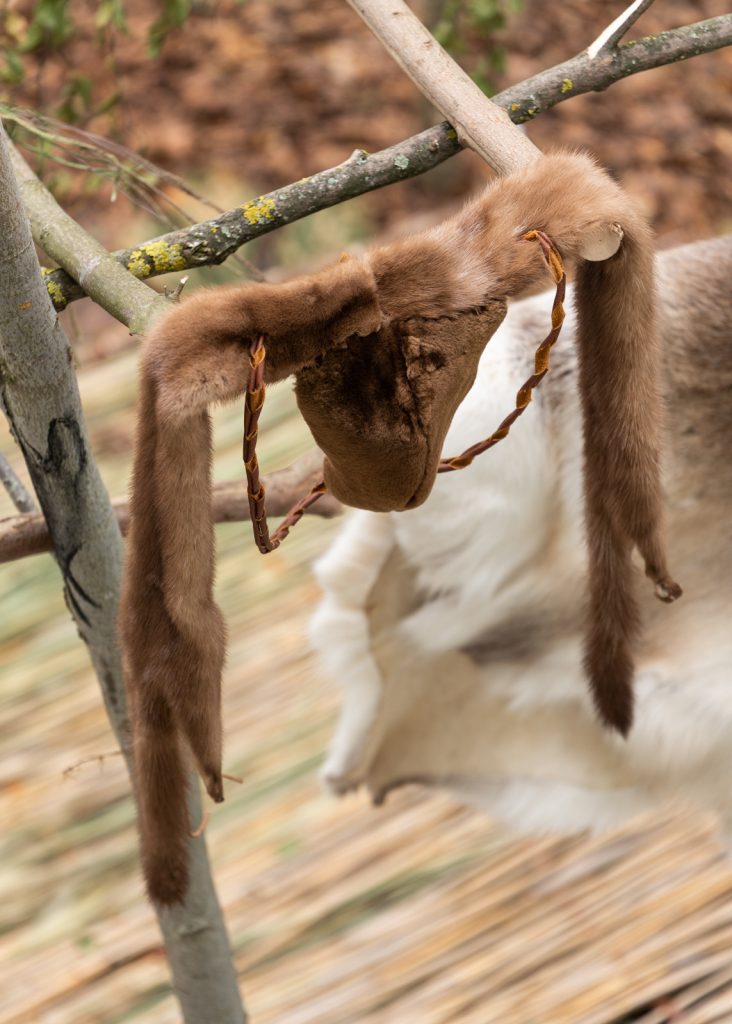 Rasmus Myrup at Tranen – Art Viewer