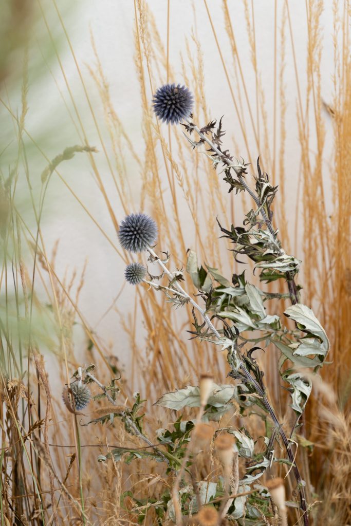 Rasmus Myrup at Tranen – Art Viewer