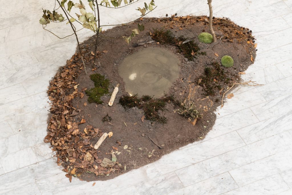 Rasmus Myrup at Tranen – Art Viewer