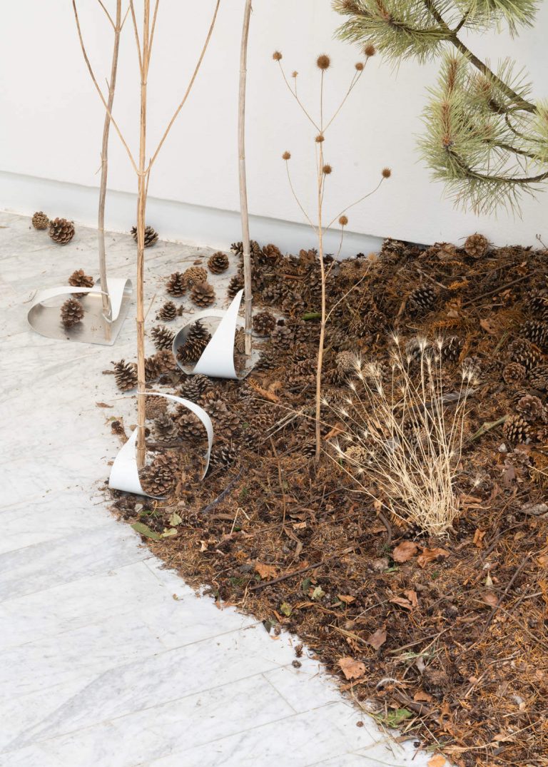 Rasmus Myrup at Tranen – Art Viewer