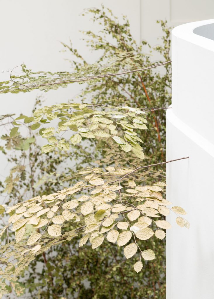Rasmus Myrup at Tranen – Art Viewer