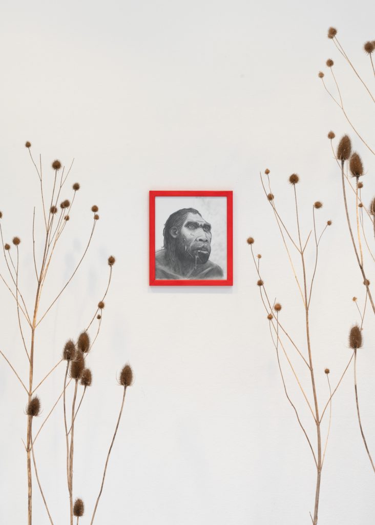 Rasmus Myrup at Tranen – Art Viewer
