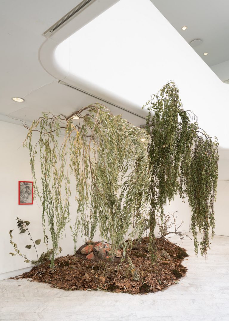 Rasmus Myrup at Tranen – Art Viewer