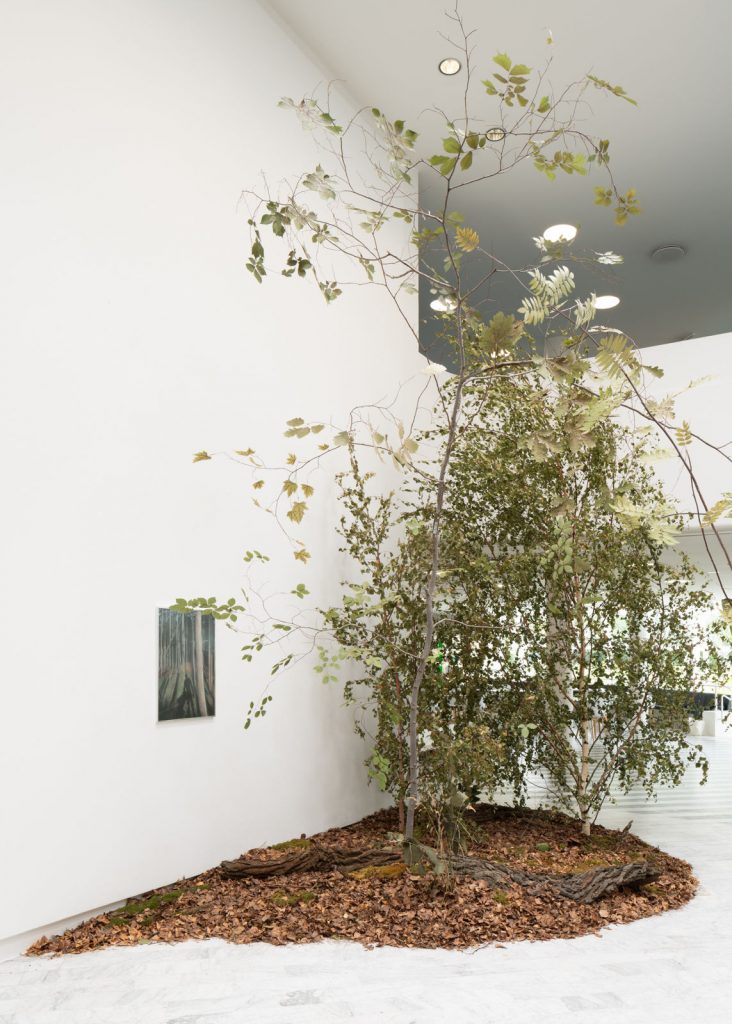 Rasmus Myrup at Tranen – Art Viewer