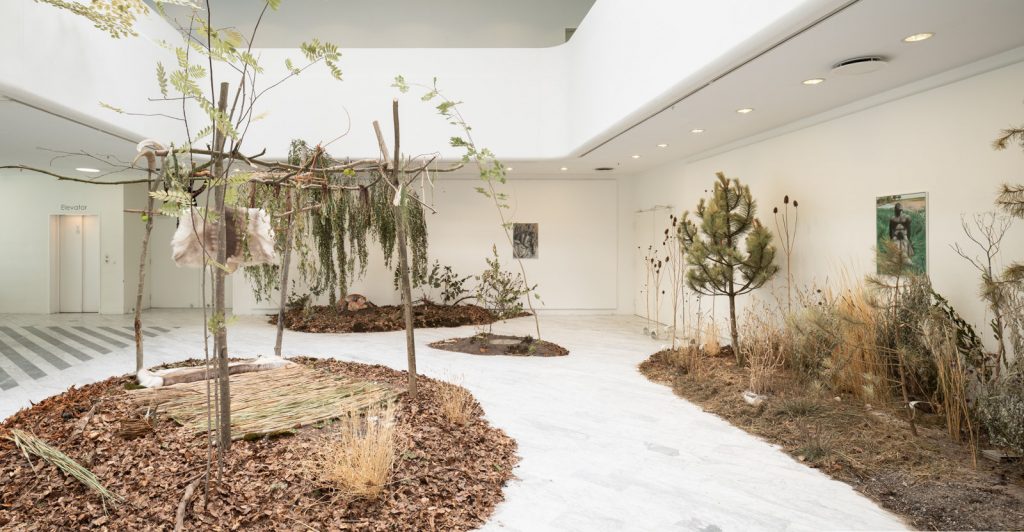 Rasmus Myrup at Tranen – Art Viewer